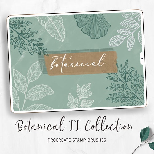 12 Botanical PROCREATE Decorative Stamp Brushes. Digital - Etsy