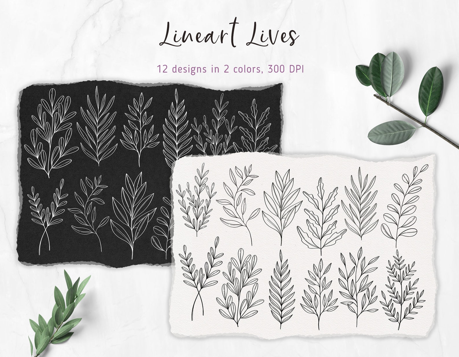 Botanical Line Art Clipart Collection Elegant Floral | Etsy