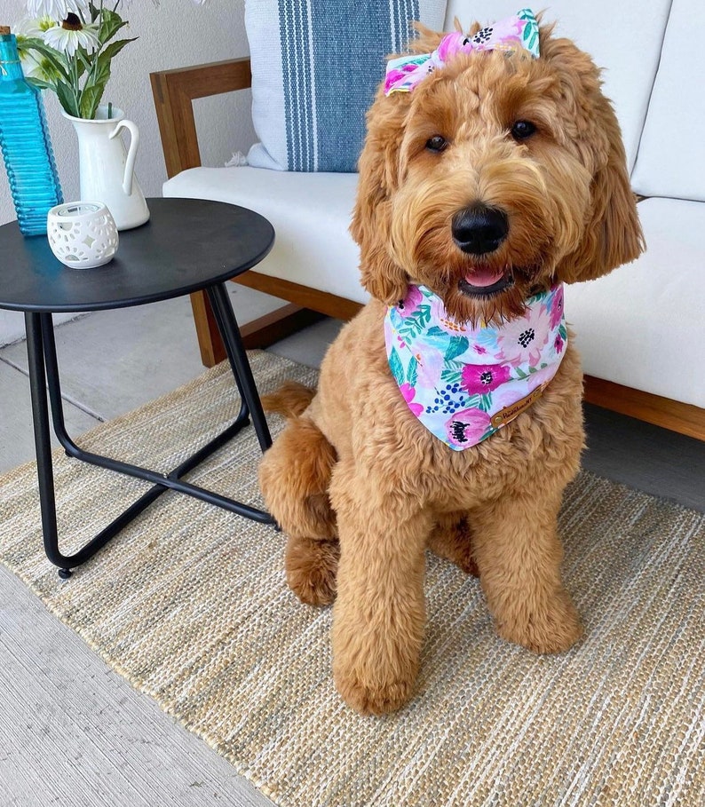 Handmade Floral Cotton Dog Bandana, Over the Collar or Snap on Dog ...
