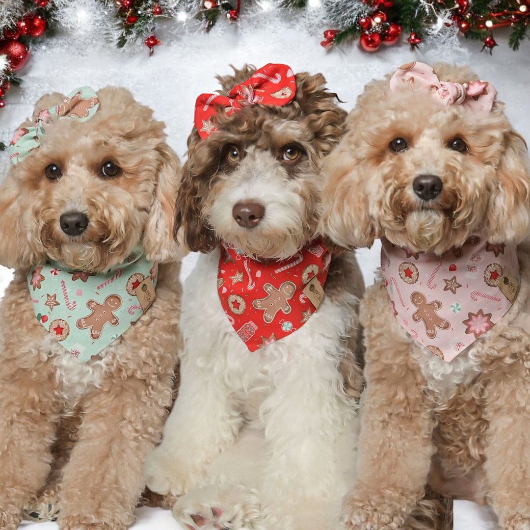 Christmas Dog Bandana, Gingerbread Dog Bandana, Christmas Dog ...