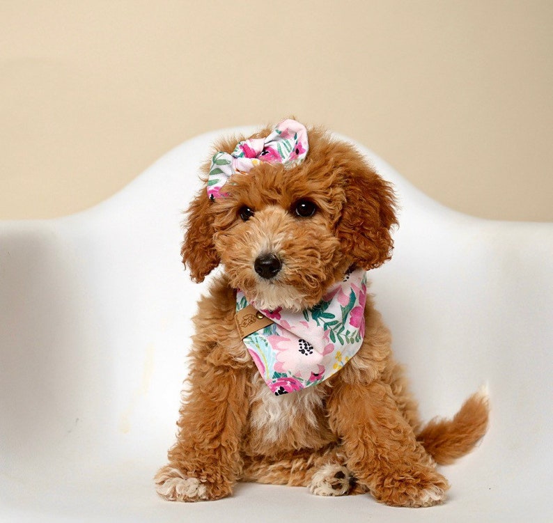 Handmade Floral Cotton Dog Bandana, Over the Collar or Snap on Dog ...