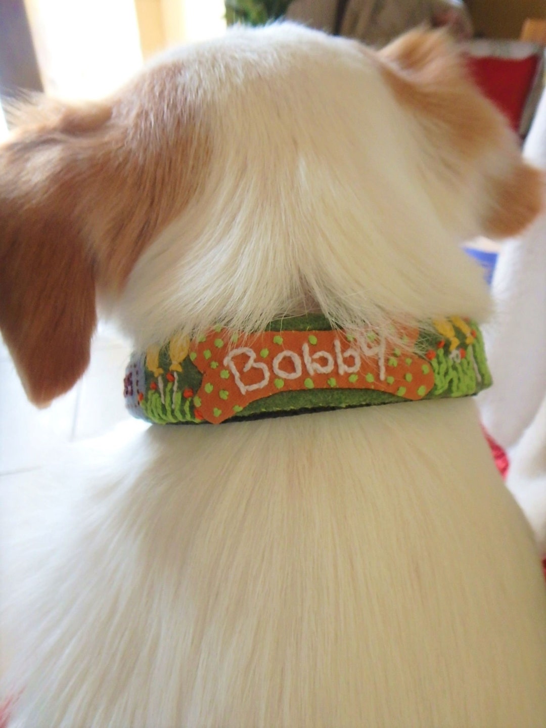 Dog Name Collar, Dog ID Collar, Personalized Dog Collar, Green Dog ...