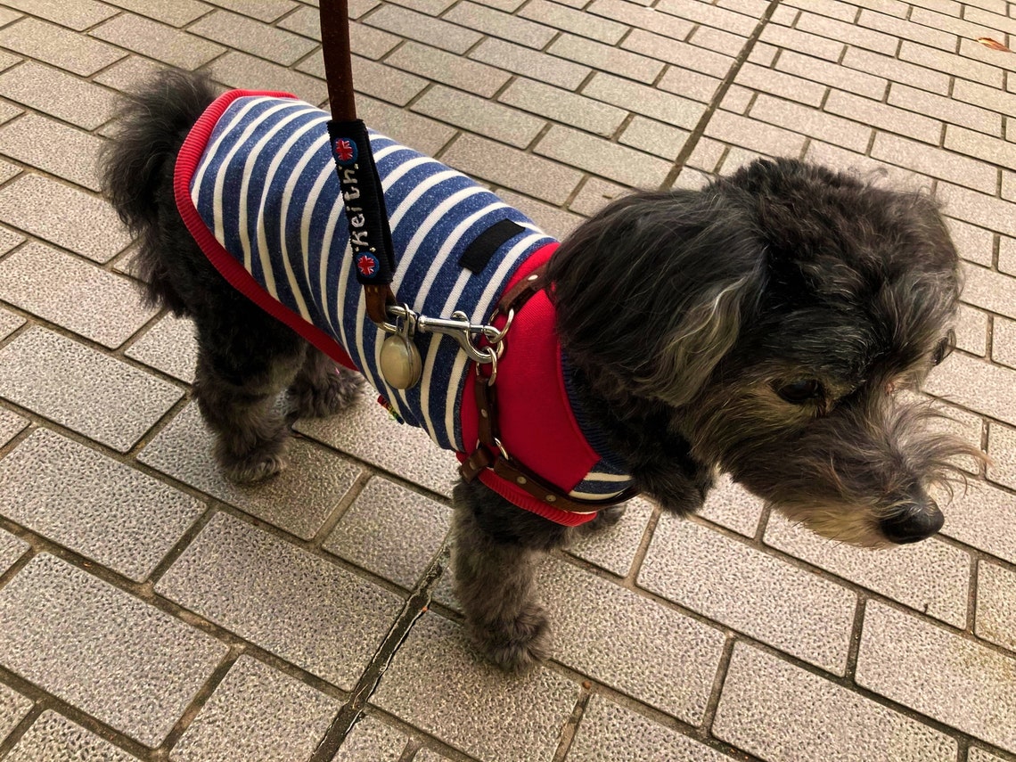 Velcro Dog Name Tag for Harness Velcro Dog ID Tag Custom ID - Etsy Canada