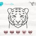Tiger Face Head, Baby Animal Cut File, Svg, Png, Dxf, Eps, Ai, Clipart ...