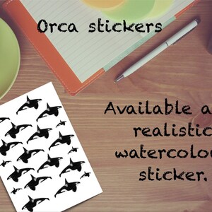 Orca Sticker Sheet/ Identification Help / Cartoon Whale/ Realistic ...
