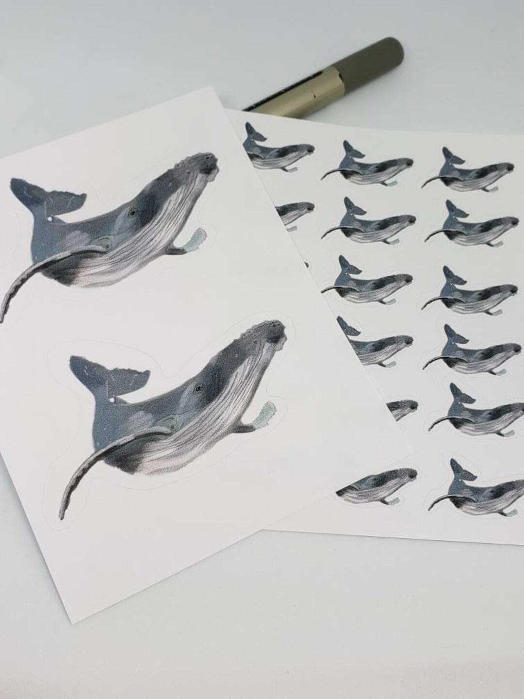 Humpback Whale Sticker Sheet/ Identification Help / Planner Stickers ...