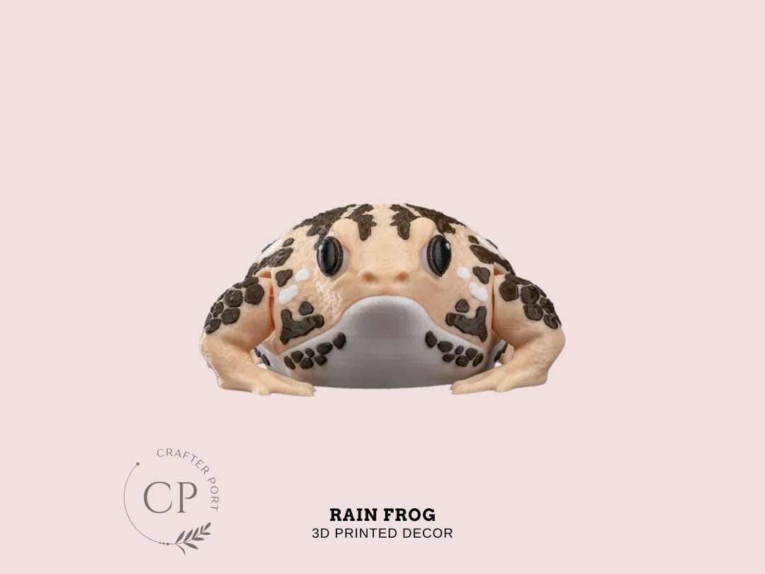 Rain Frog Articulated 3D Printed Figure Home Desk Decor - Etsy