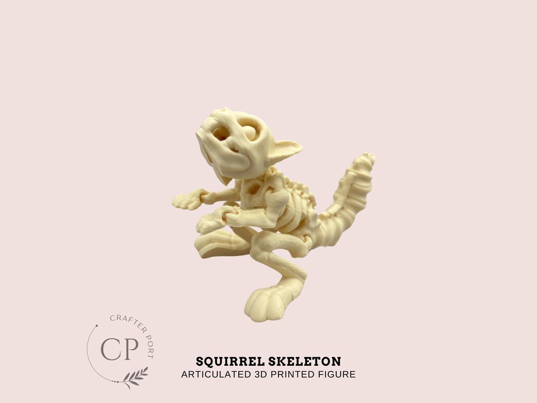 Squirrel Skeleton Articulated 3D Printed Animal Figure – Customizable ...