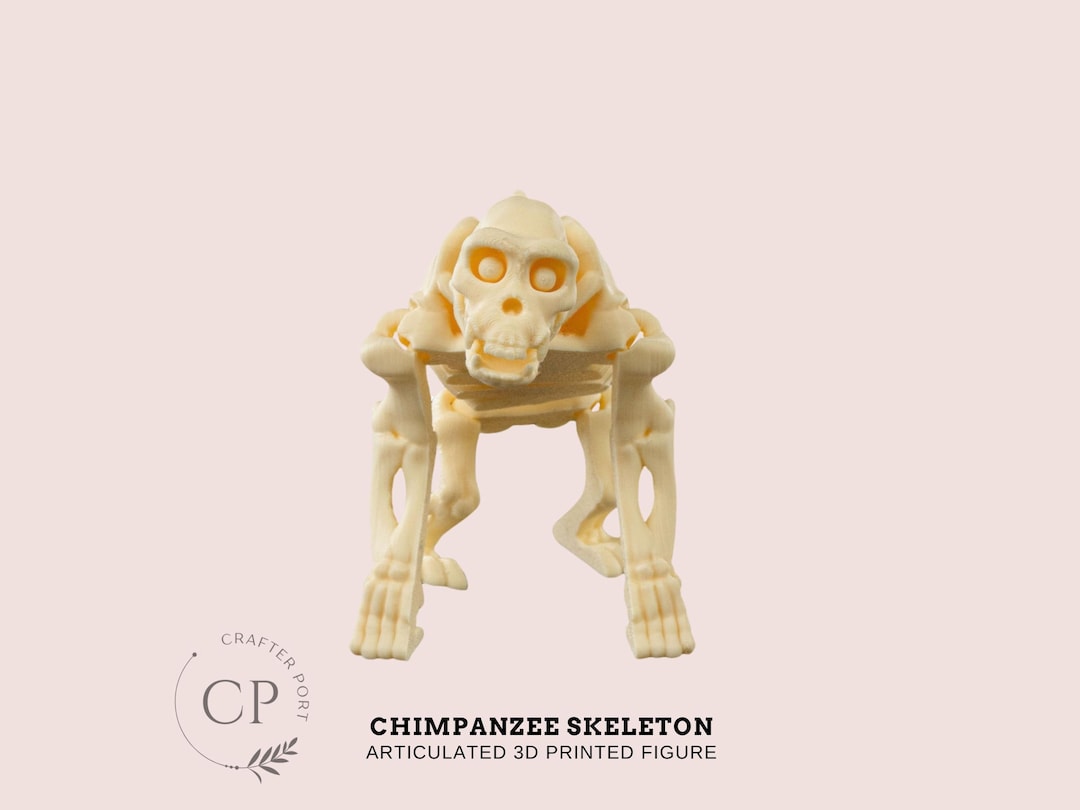 Chimpanzee Skeleton Articulated 3D Printed Animal Figure – Customizable ...