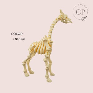 Giraffe Skeleton Articulated 3D Printed Animal Figure – Customizable ...