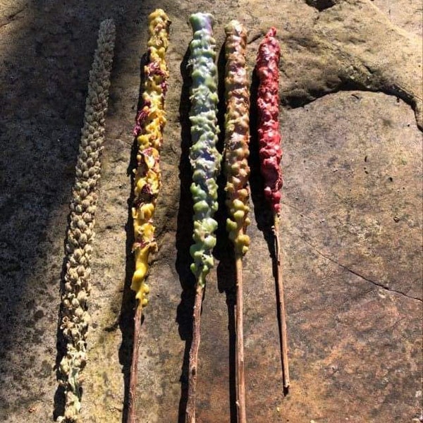 Mullein Witch Torch - Etsy
