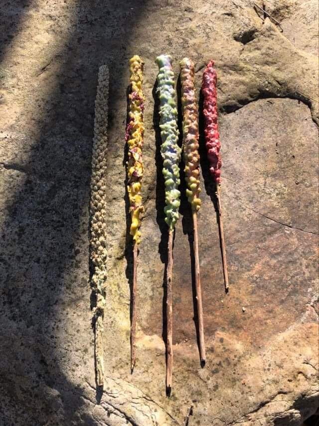 4 Beeswax Dipped Mullein Torches MULLEIN TORCH SET 4 Beeswax - Etsy