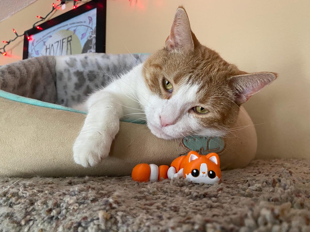Flexible Cat Fidget Toy - Etsy