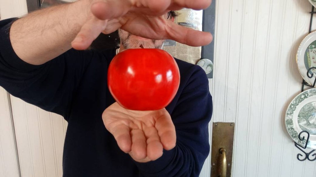 Newton's Magic Apple - Etsy