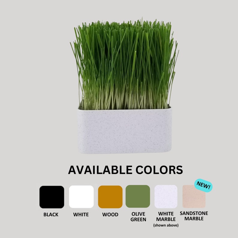 Organic Wheat Grass Grow Kit: 3D Printed Planter - Etsy