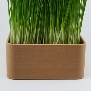 Organic Wheat Grass Grow Kit - Easy Grow Wheat Grass With Decorative ...