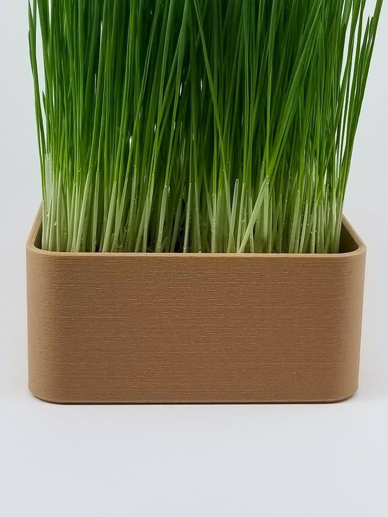 Organic Wheat Grass Grow Kit Easy Grow Wheat Grass With - Etsy