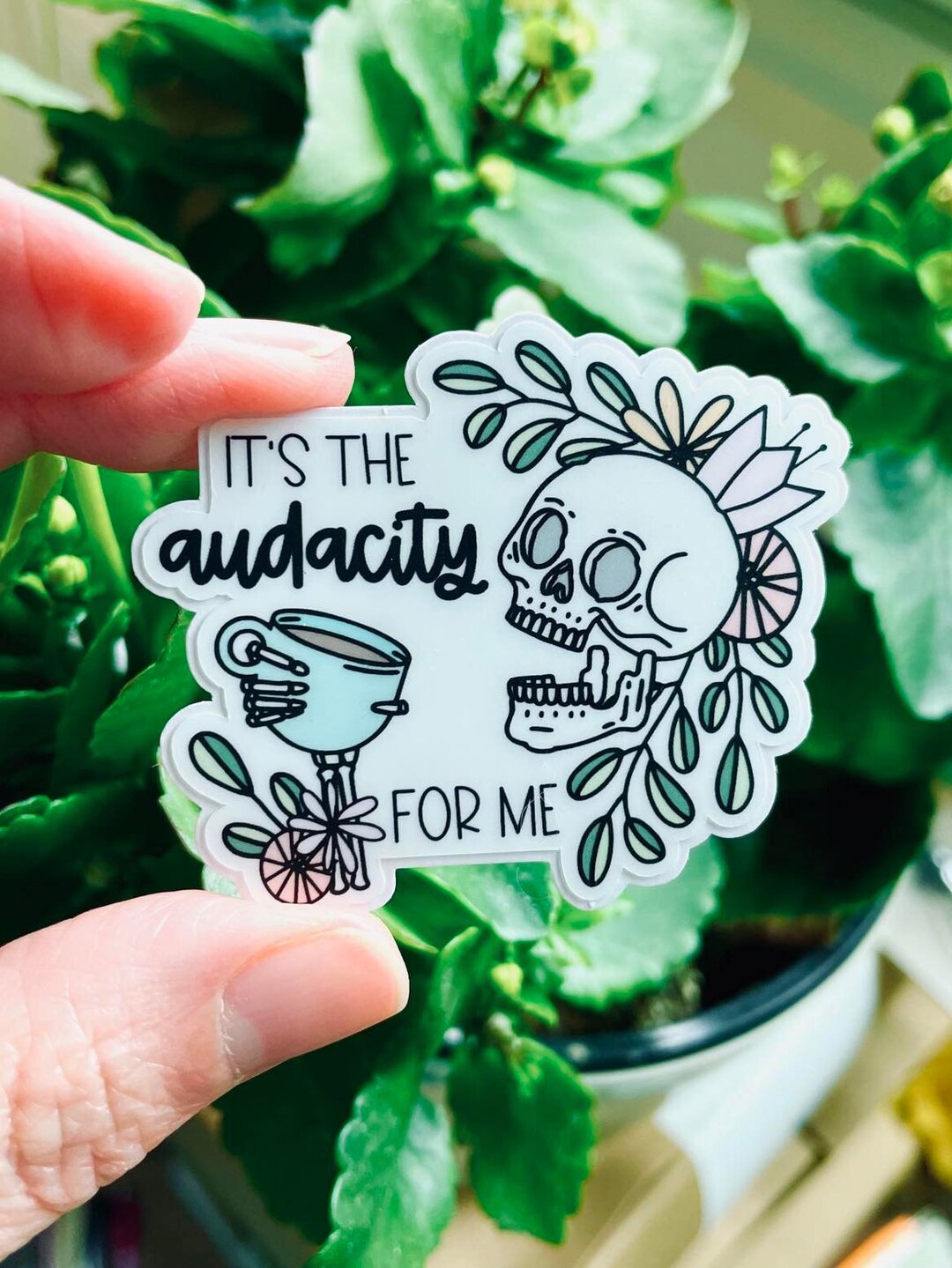 It's the Audacity for Me Vinyl Sticker, Skull Vinyl Sticker, Sarcastic ...