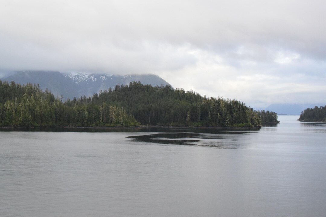 Alaskan Ocean Treeline | Digital Download | Coastal Forest, Island ...