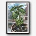 Basil Art Print, Basil Plant, Houseplant Art Print, Plant Art Print ...
