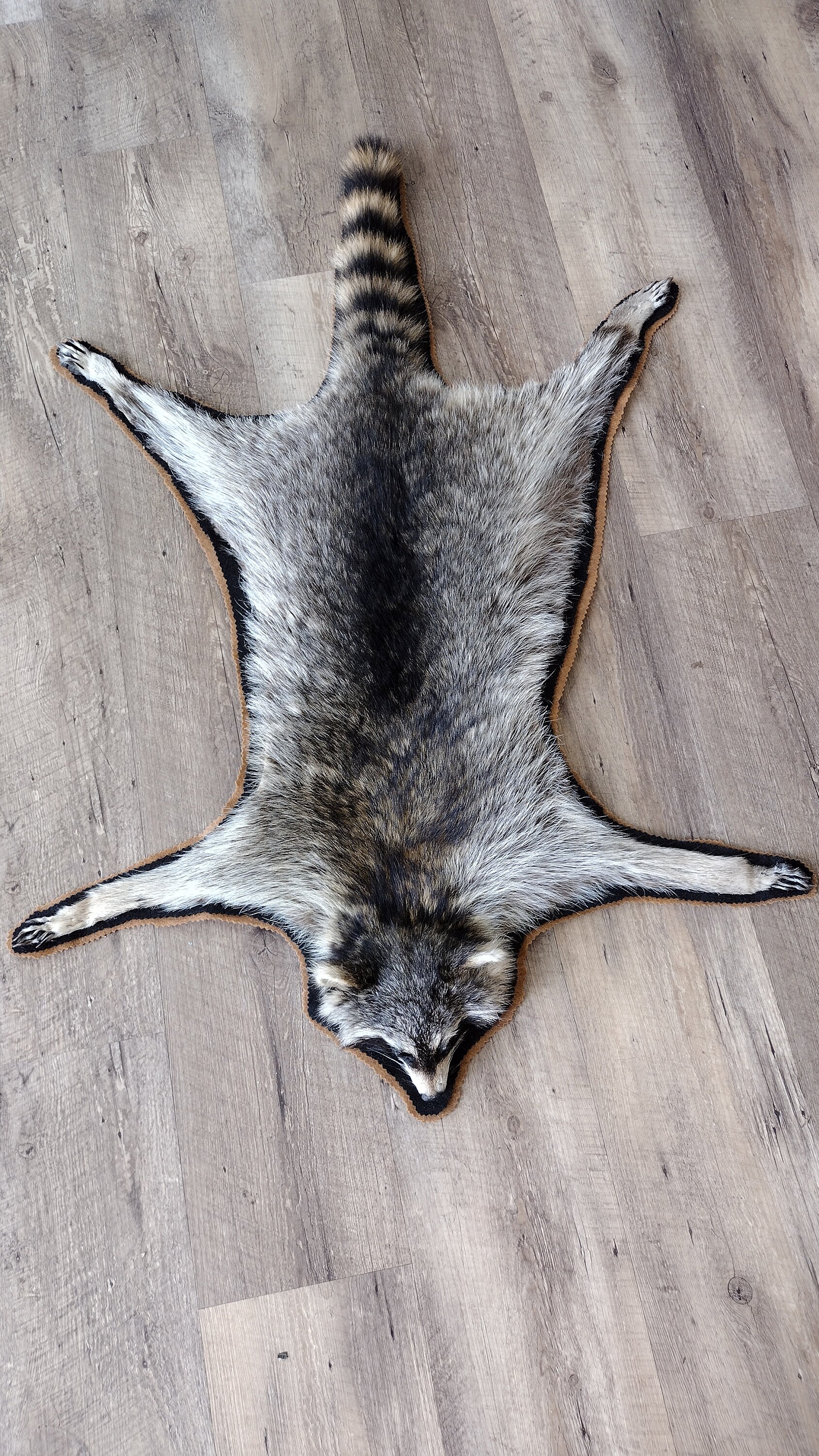 Raccoon Taxidermy Rug, Wall Hanger, Pelt, Hide, Animal, Fur, Cabin ...