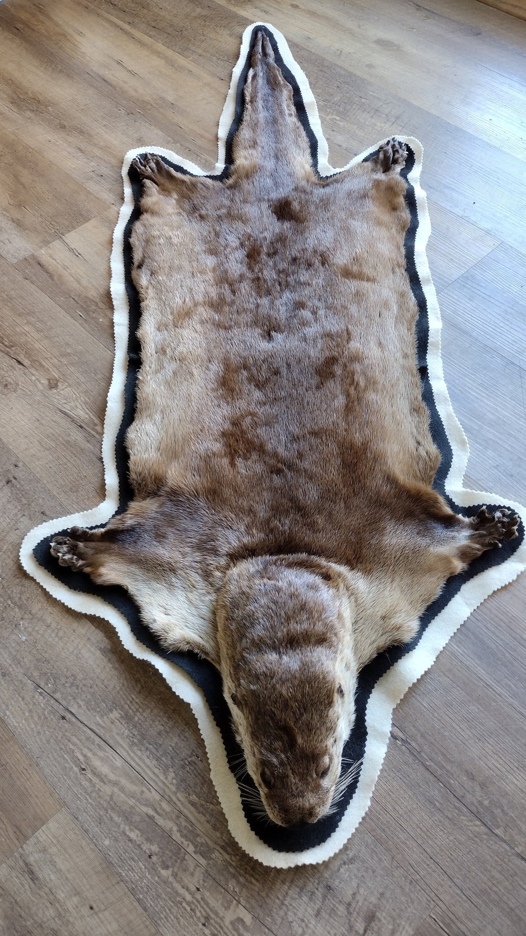 River Otter Rug, Real Fur, Taxidermy, Animal, Pelt, Hide, Oddity, Wall ...