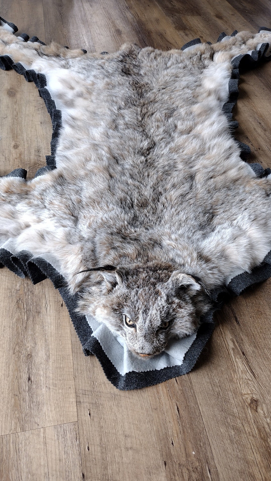 Alaskan Lynx Rug, Lynx, Bobcat, Real Fur, Cat, Animal Hide, Pelt ...