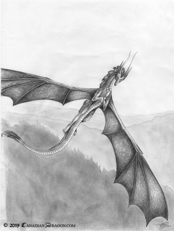 Dynamic Flying Dragon Wall Art PRINT / Poster of Flying Dragon Wall Art ...