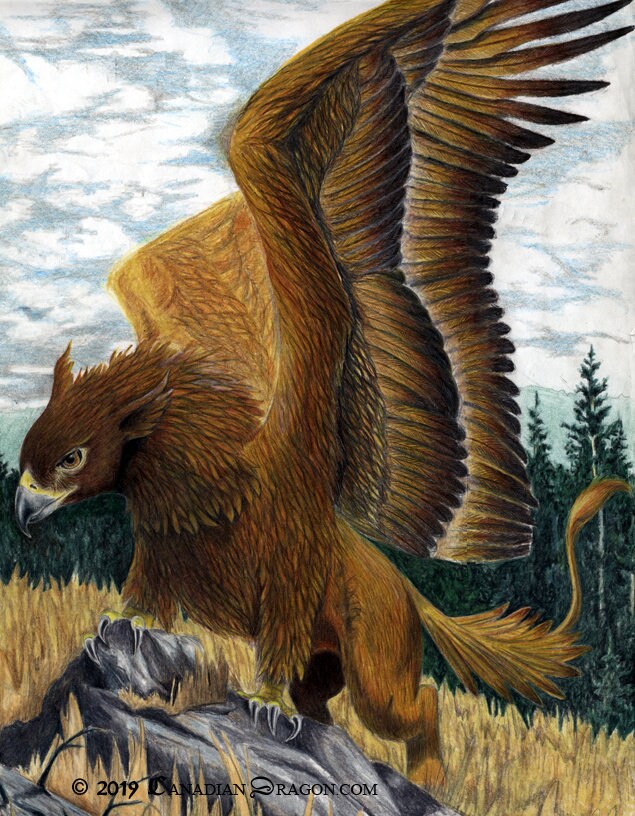Wild Gryphon PRINT Wall Art - Póster Griffon / Griffin, Decoración de ...