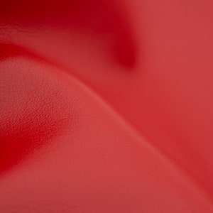 Red Leather Sheets With Smooth Surface. Nappa Genuine Leather Pieces ...