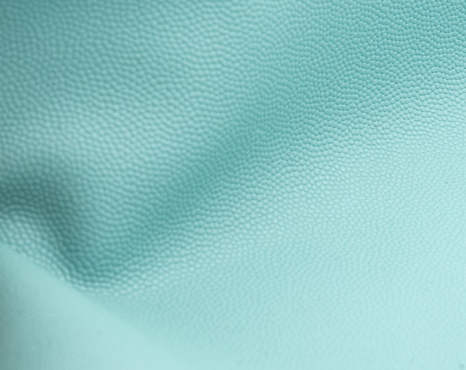 Light Blue Leather Sheets With Stingray Print. Fashionable , Easy to ...