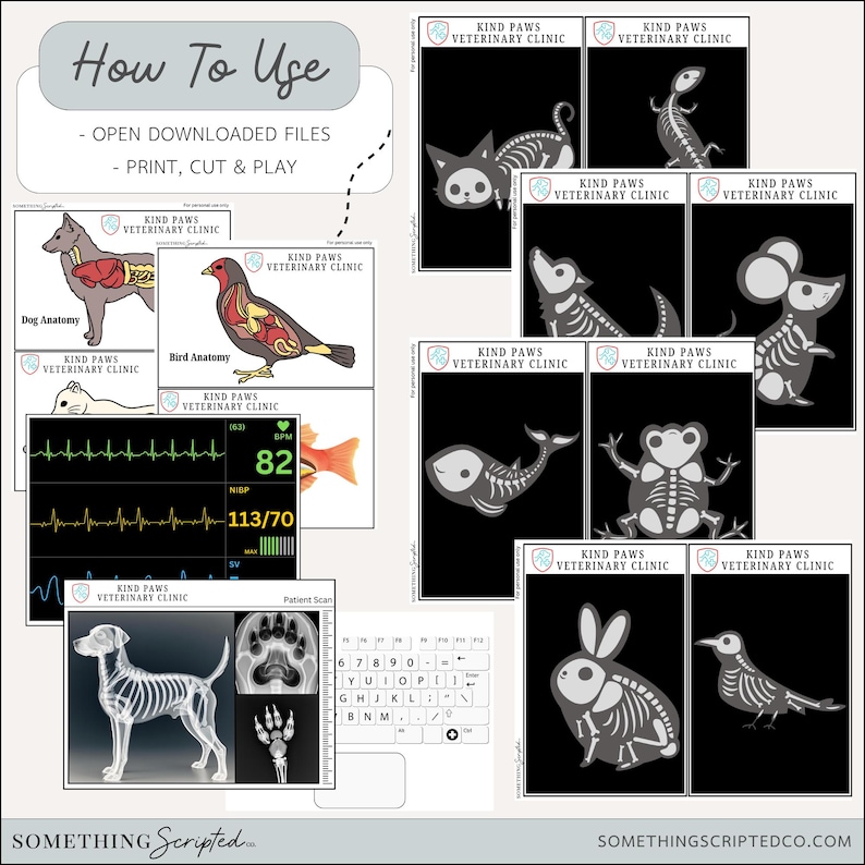 Veterinarian Pretend Play Set: Vet Clinic Role Play Printables (instant ...