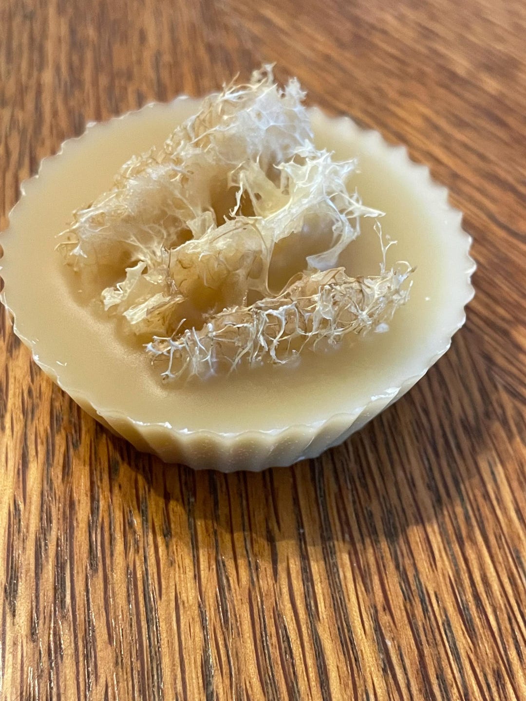 All Natural Luffa Fire Starter - Etsy