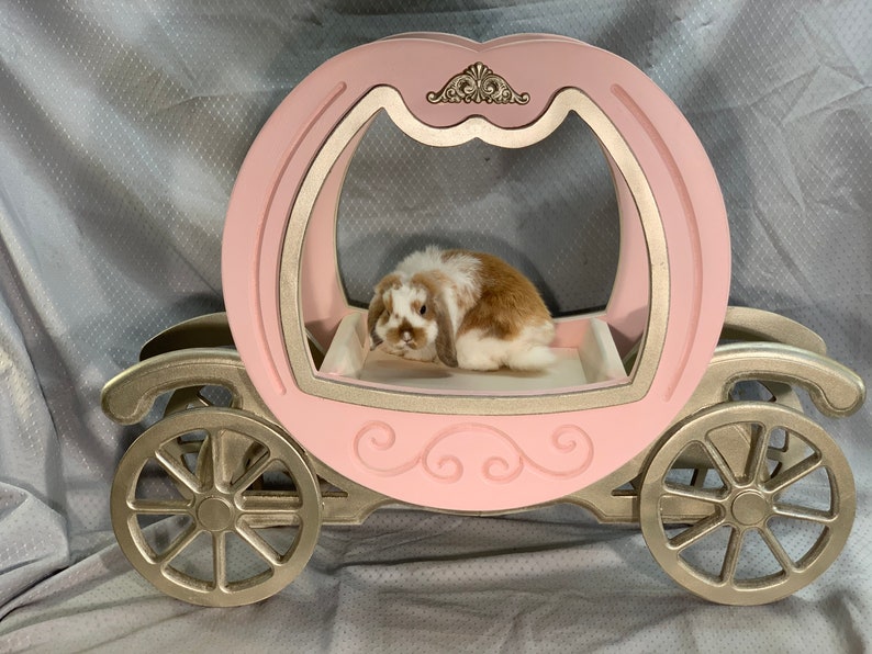 Princess Poppy Pumpkin Carriage Prop... Choice of All white or | Etsy