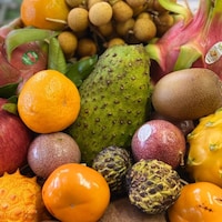 Sapodilla Tree Seeds – Manilkara Zapota “brown Sugar Fruit” | Tropical ...