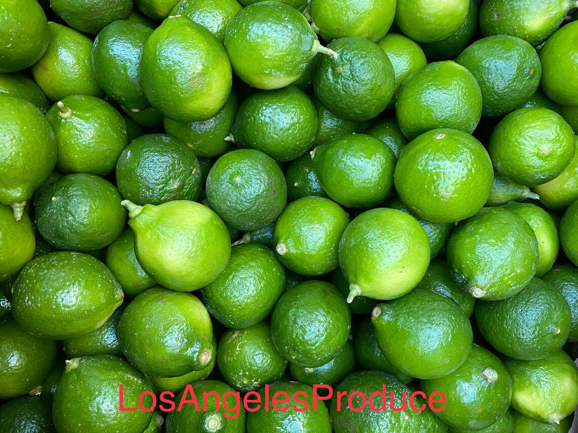 10lbs Fresh Seeded Key Lime Non-gmo / Free Shipping - Etsy