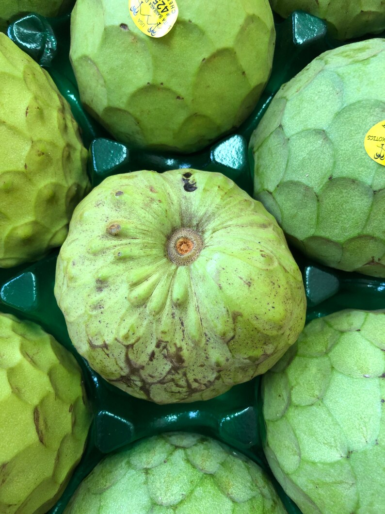 2.5-3 Lbs California Grown Cherimoya(all Natural/non-spray) Delicious ...