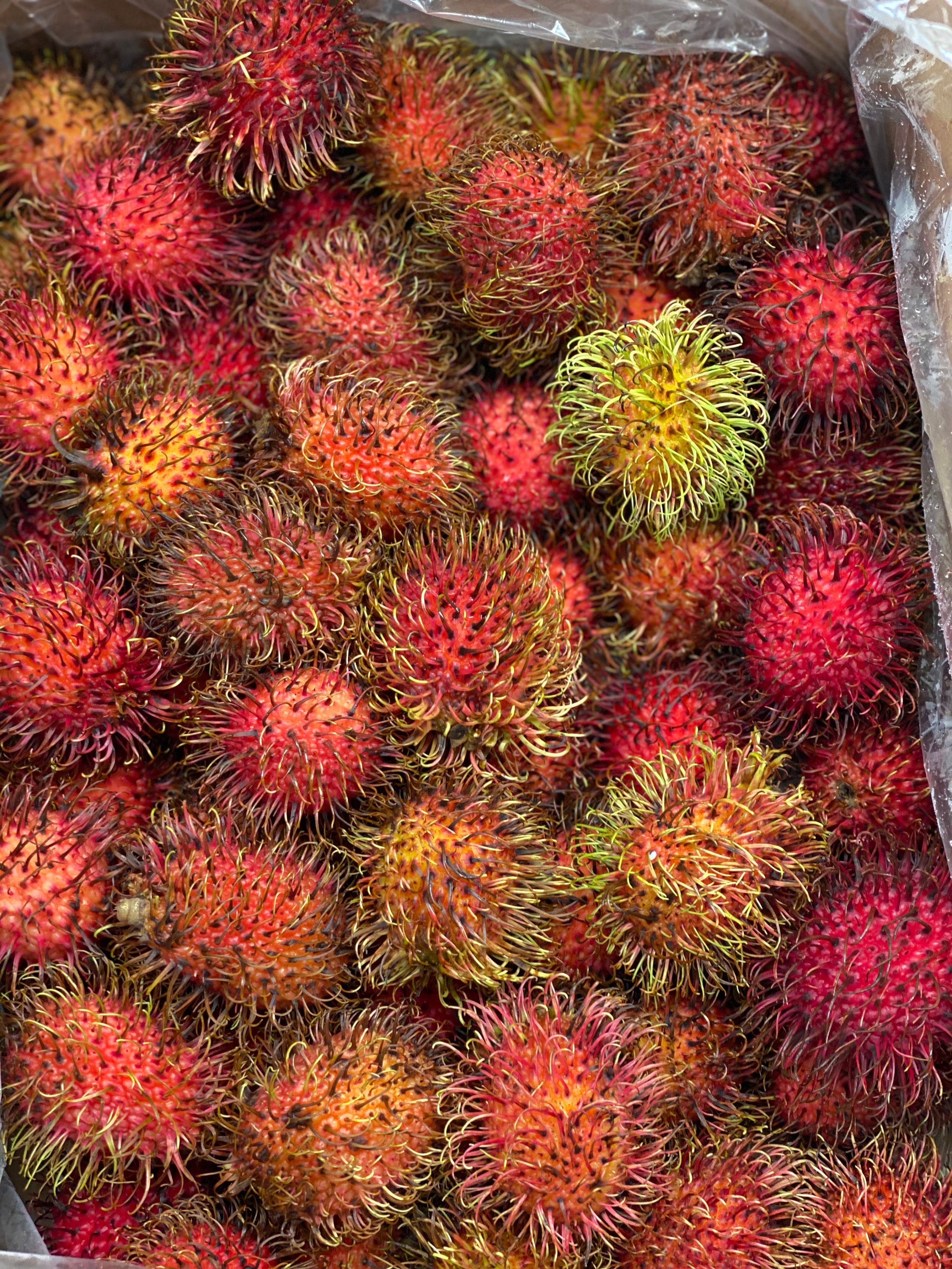 Rambutan Fruit Brown