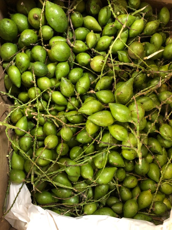 Mamones Salvadorenos