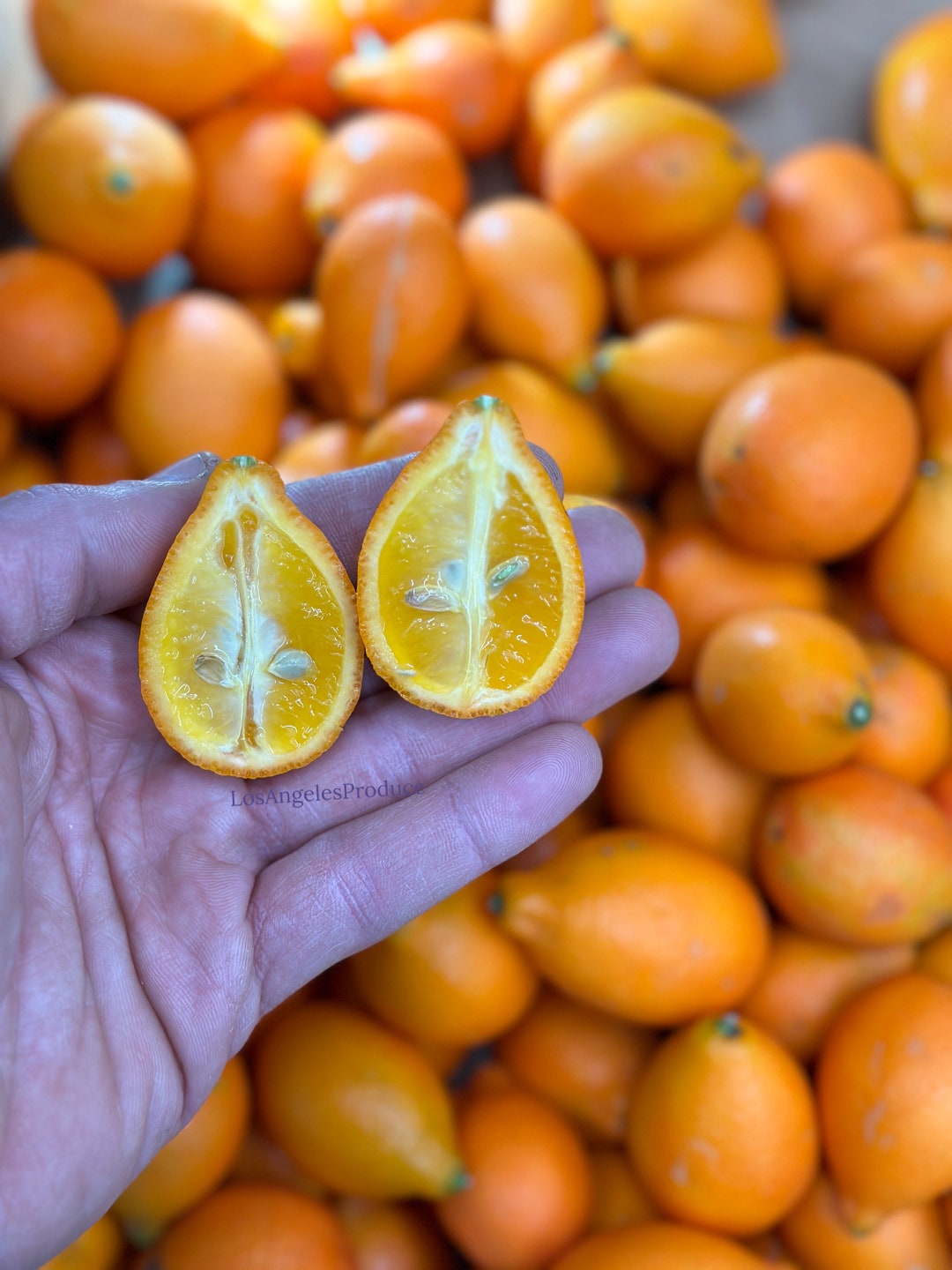 1-1.5lbs Fresh All-natural Mandarin Quats actual Fruit - Etsy