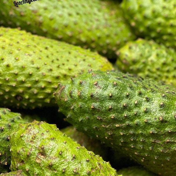 Soursop Fruit - Etsy