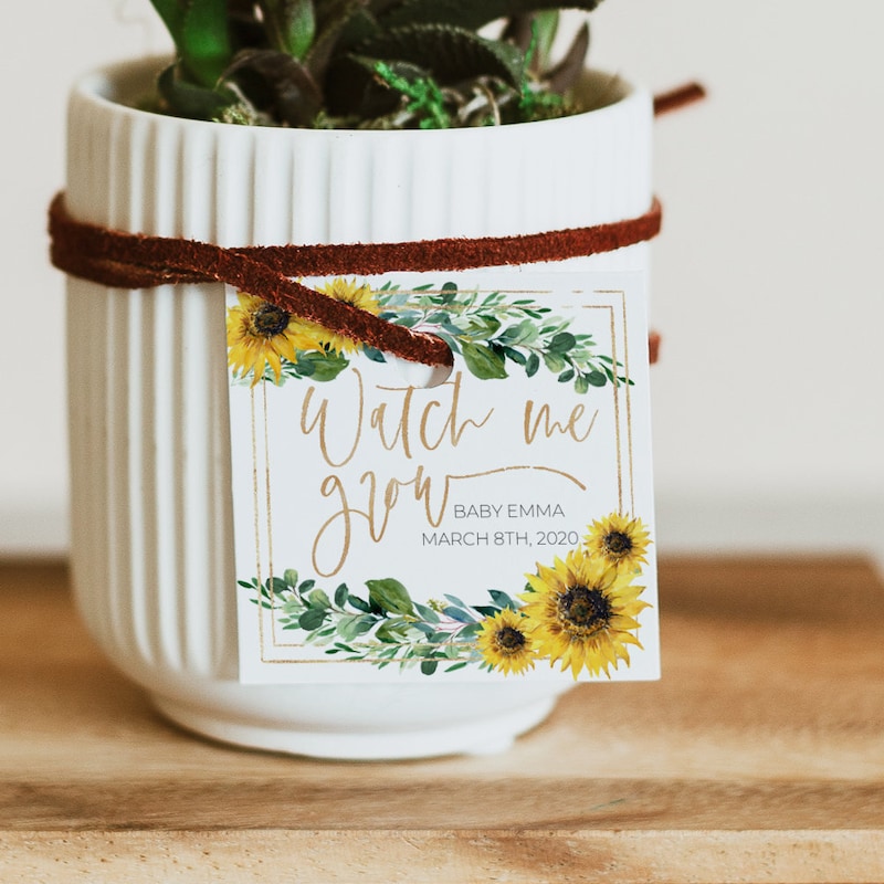Watch Me Grow Succulent Tags - Etsy