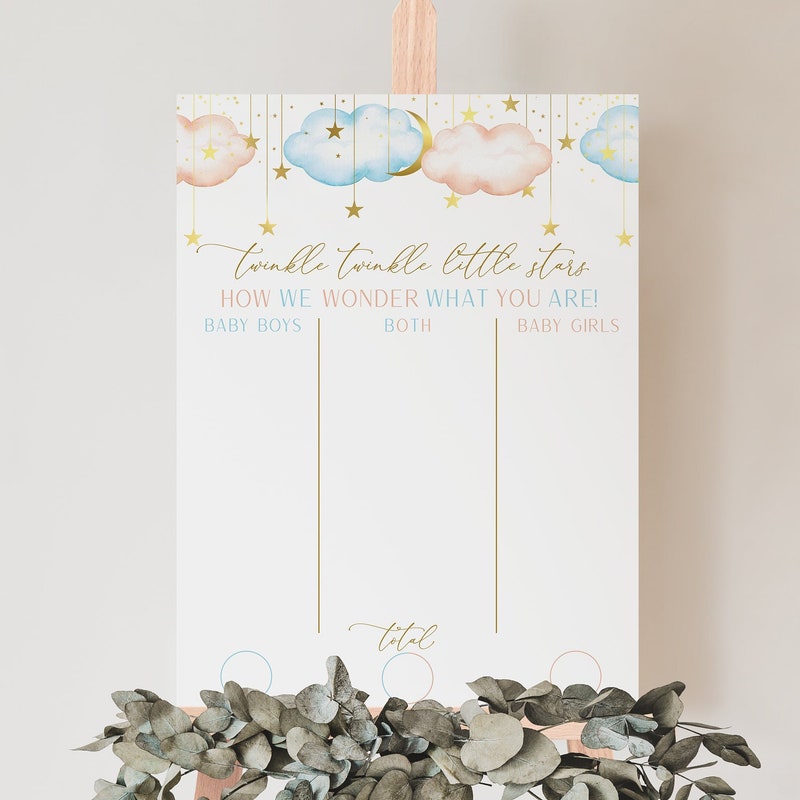 Twins Gender Reveal - Etsy