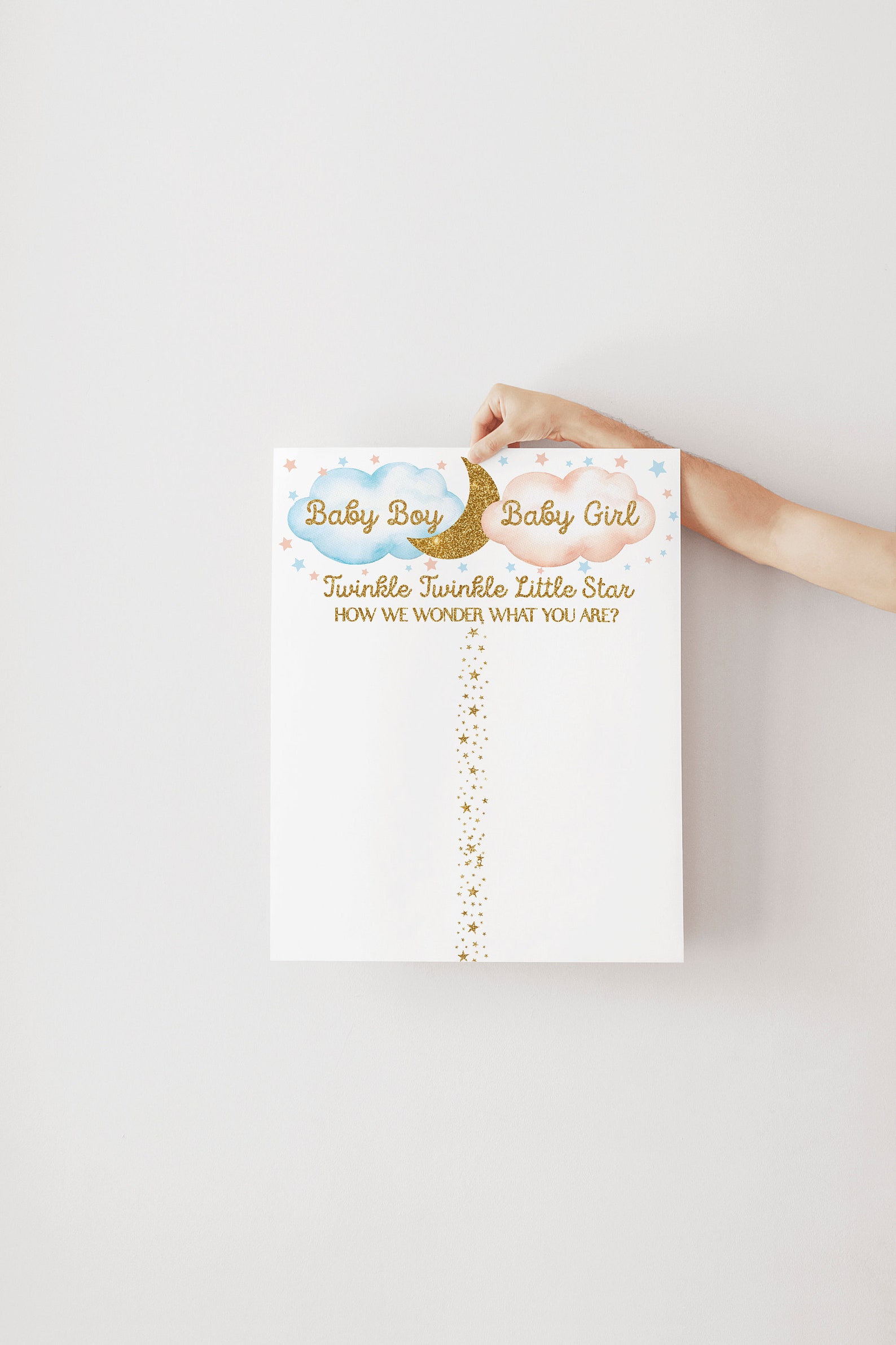 Gender Reveal Voting Sign Blue and Pink Voting Gametwinkle - Etsy