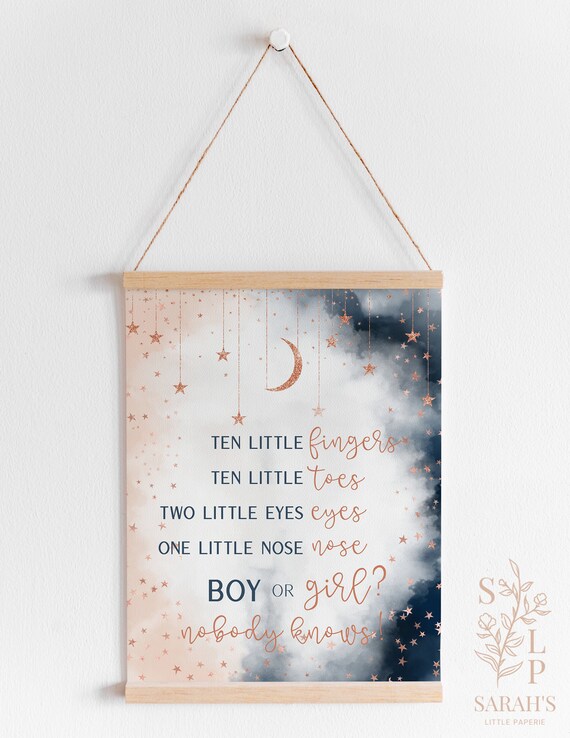 Boy or Girl Sign Gender Reveal Sign Blush & Navy Gender - Etsy