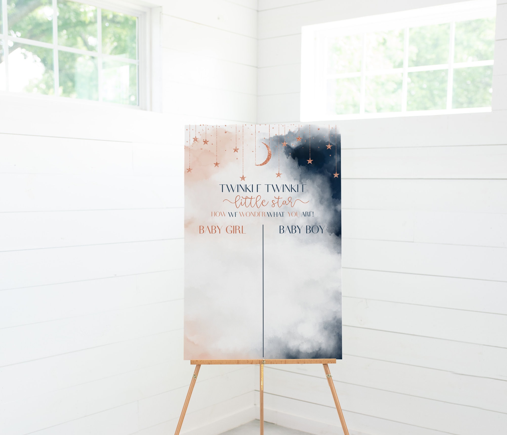 Gender Reveal Voting Sign, Blue and Pink Gender Reveal Voting Game ...