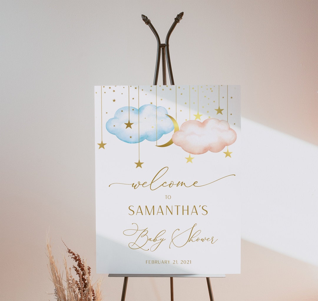 Gender Reveal Welcome Sign, Blue and Pink Sign, Twinkle Twinkle Little ...