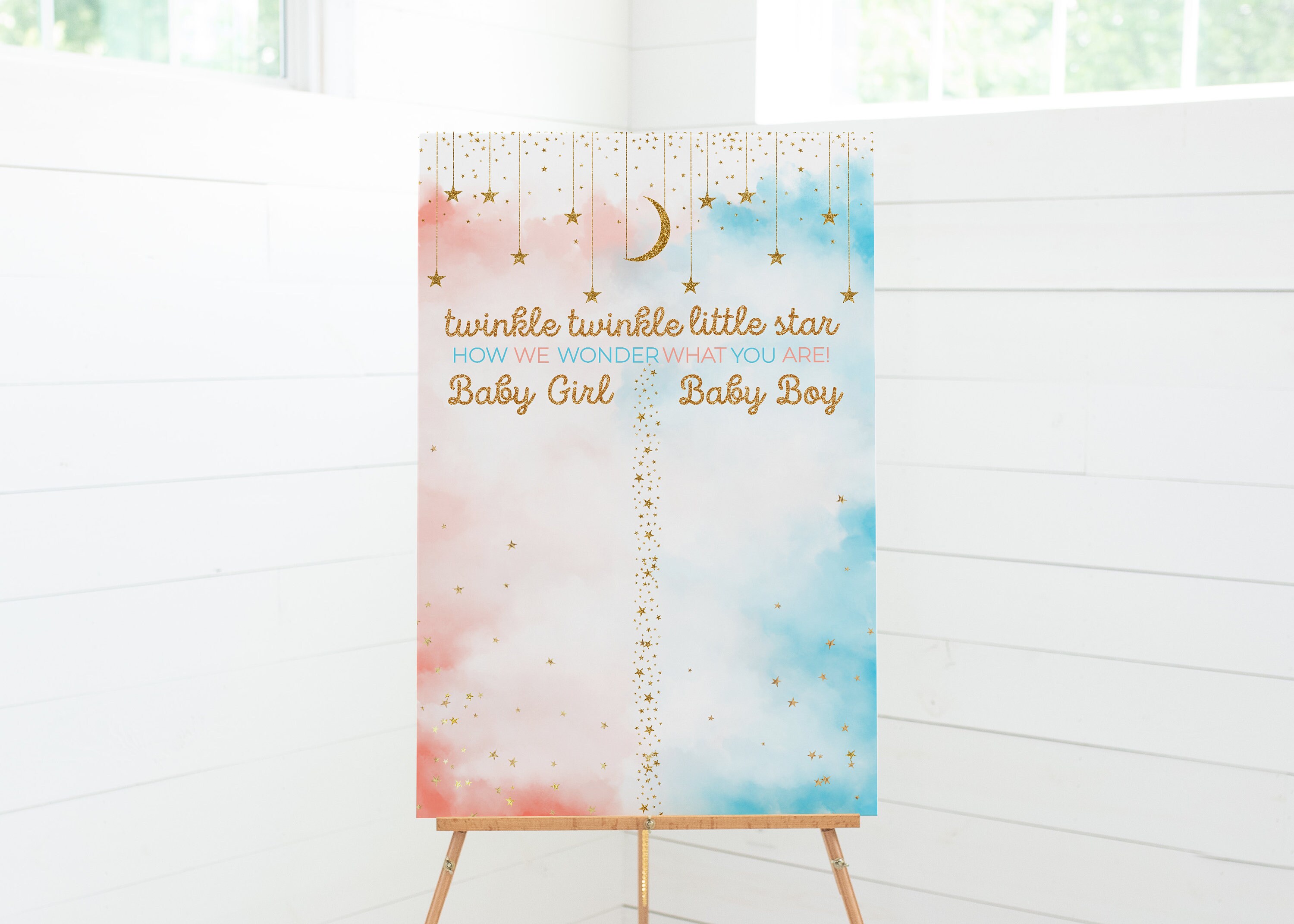 Gender Reveal Voting Sign, Blue and Pink Gender Reveal Voting Game ...