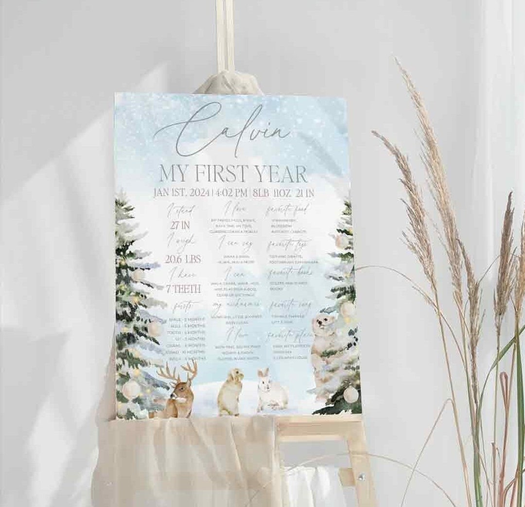 Winter Onerderland Birthday Milestone Board | Boy Winter Birthday Stats ...