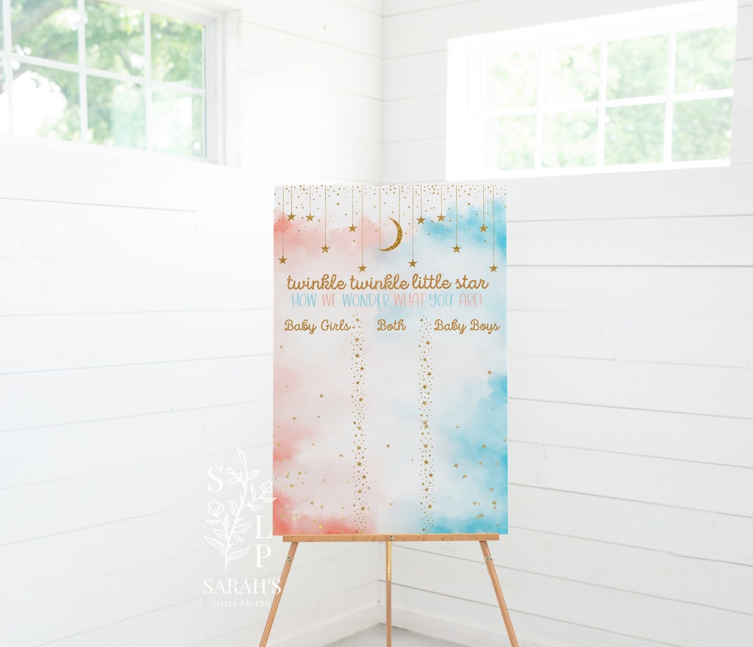 Twins Gender Reveal Voting Sign, Blue and Pink Gender Reveal Voting ...